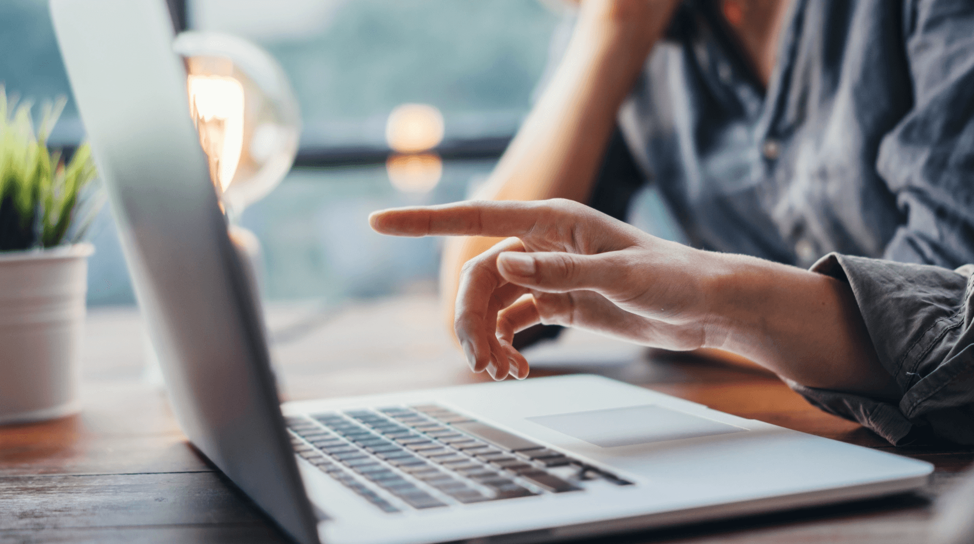 Insights - ace turtle