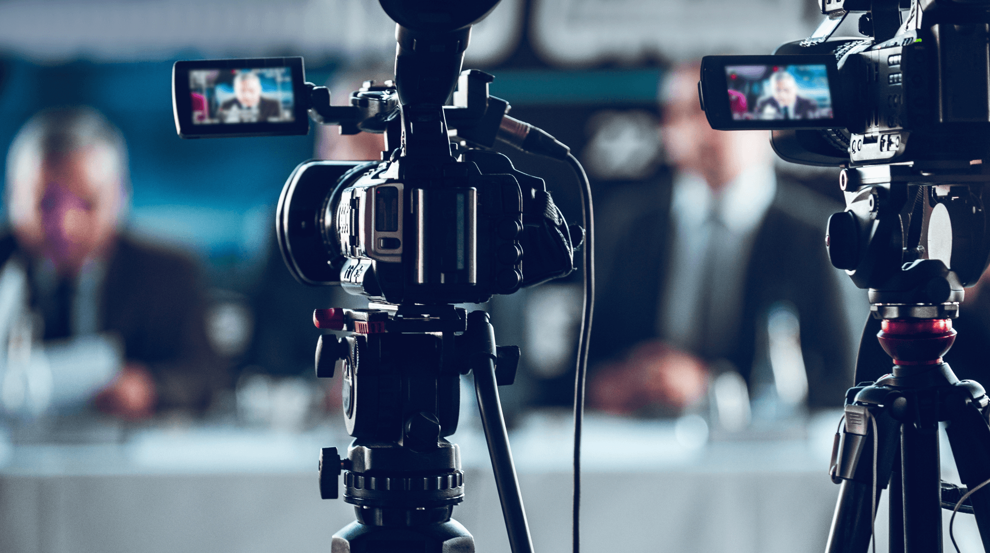 Newsroom - ace turtle