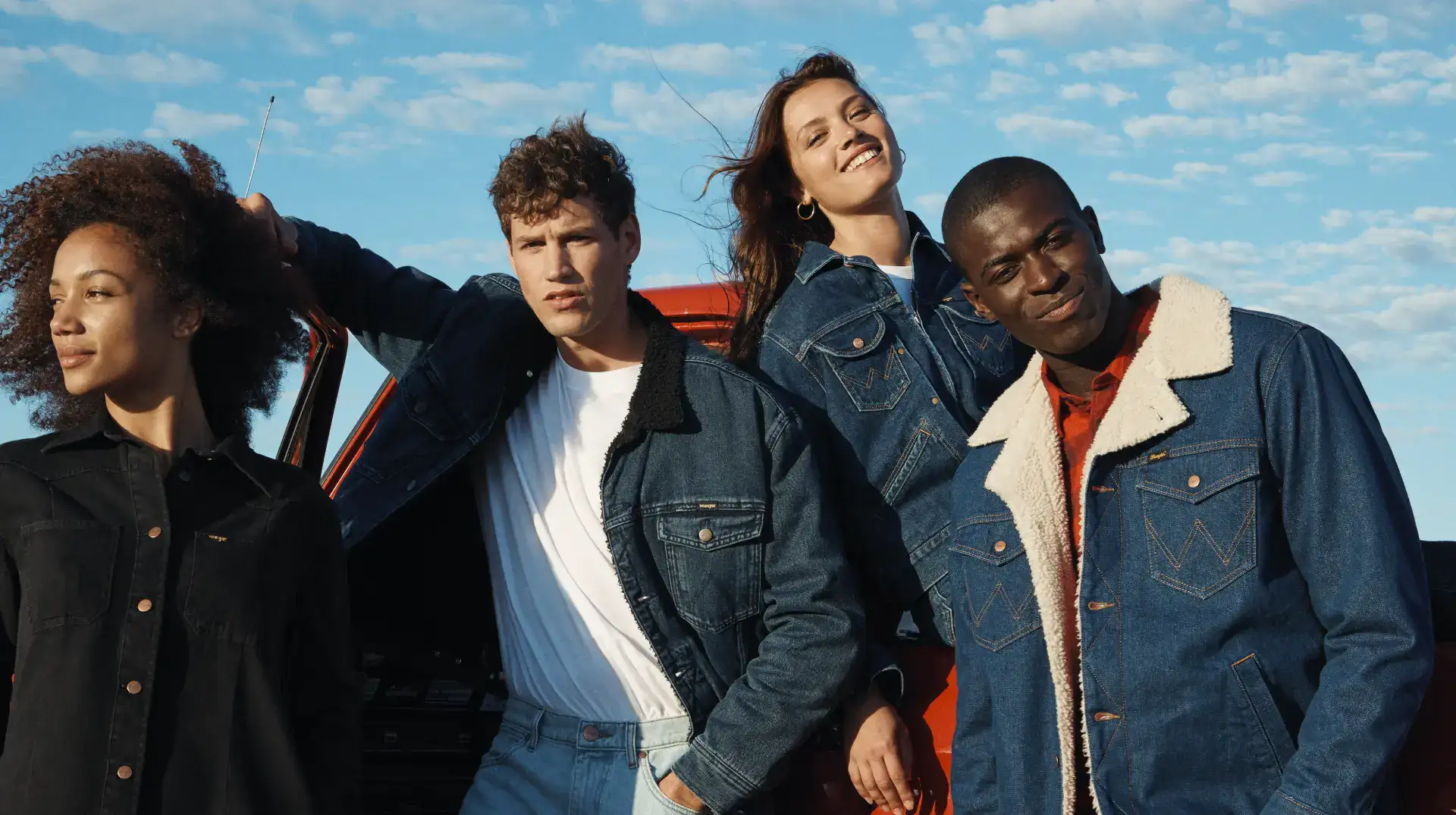 Wrangler - ace turtle